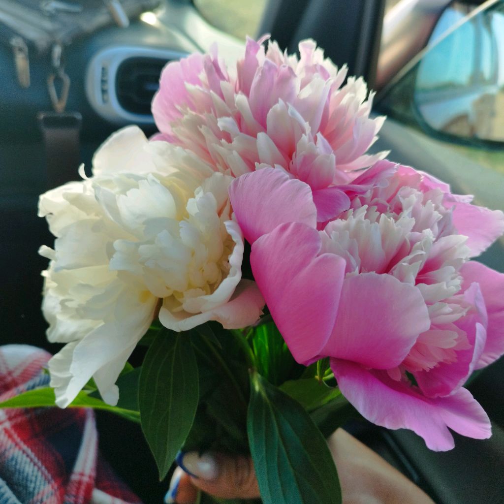 Иконка канала Ramila