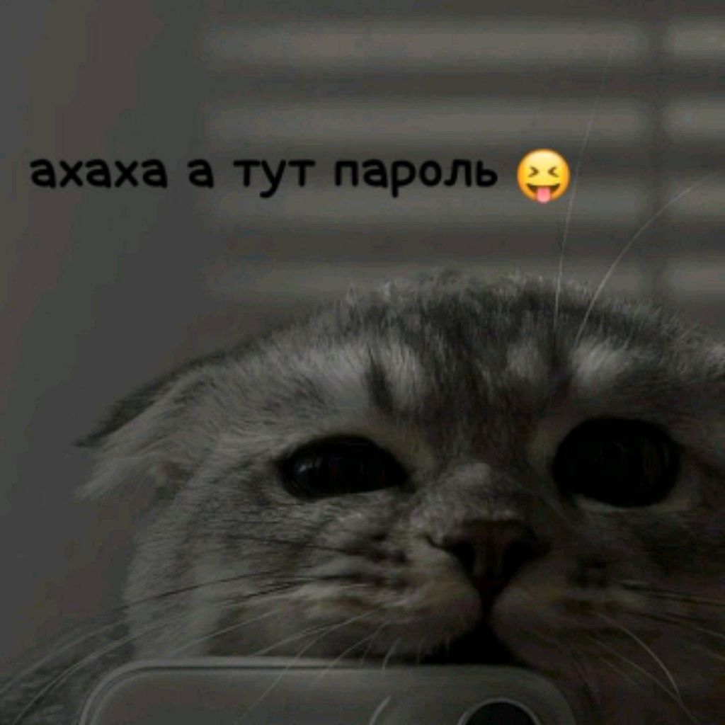 Иконка канала channel73727653