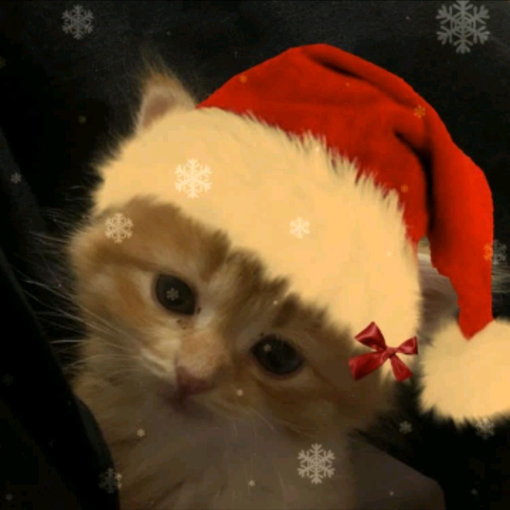 Иконка канала Сдохла.