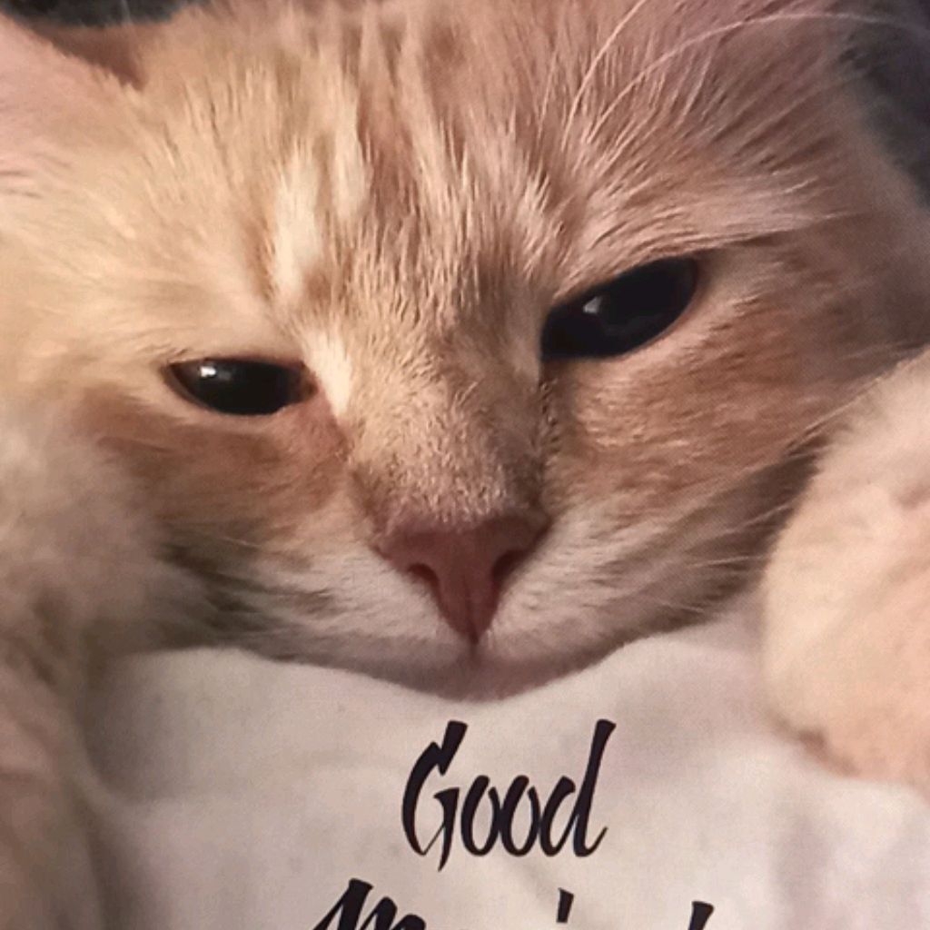 Иконка канала Тути Фрути 🤙🌸💕