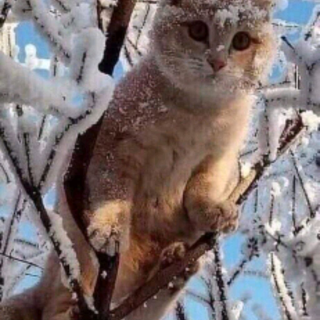 Иконка канала Всякая Всячина