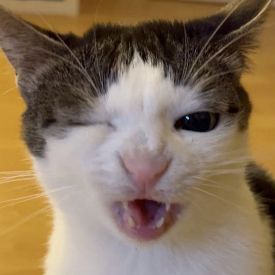 Иконка канала Chroms