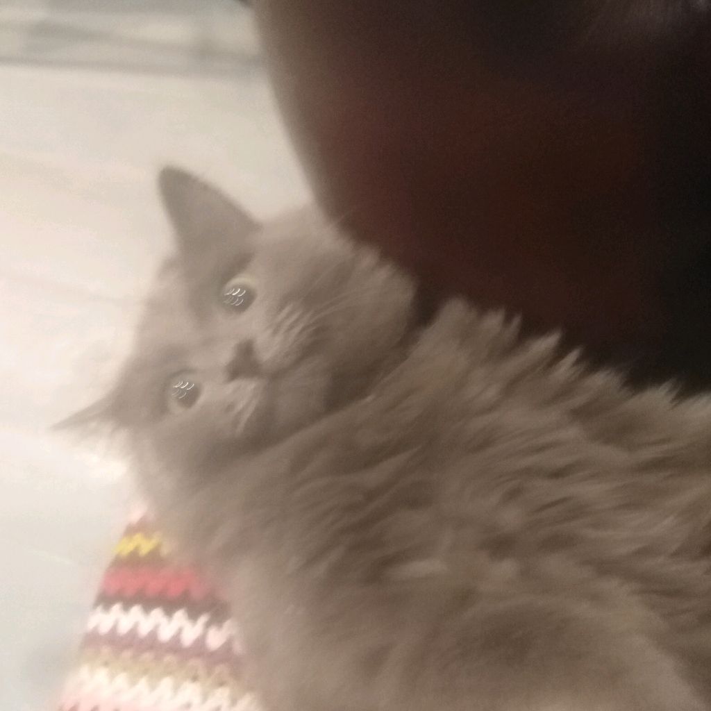 Иконка канала Лёха Лепёха