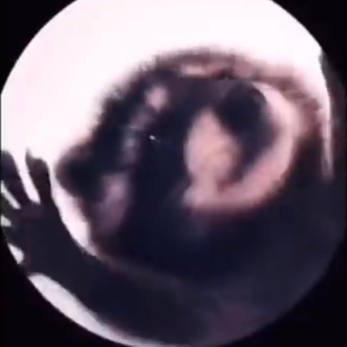 Иконка канала Данила лего мир TNT