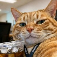 Иконка канала EVIL BASS