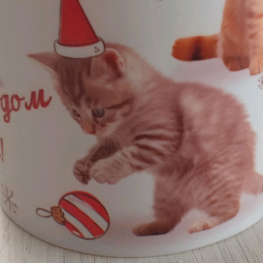 Иконка канала 👍аватар Лиза и котик Лиза😽