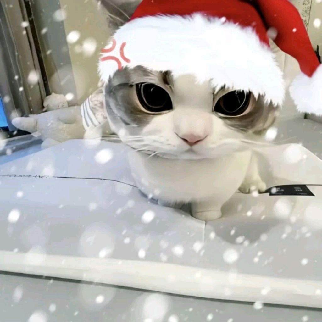 Иконка канала Новогодние Котики