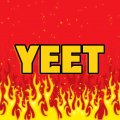 Иконка канала TheYeet