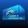 Иконка канала СУДАК В АКВАРИУМЕ