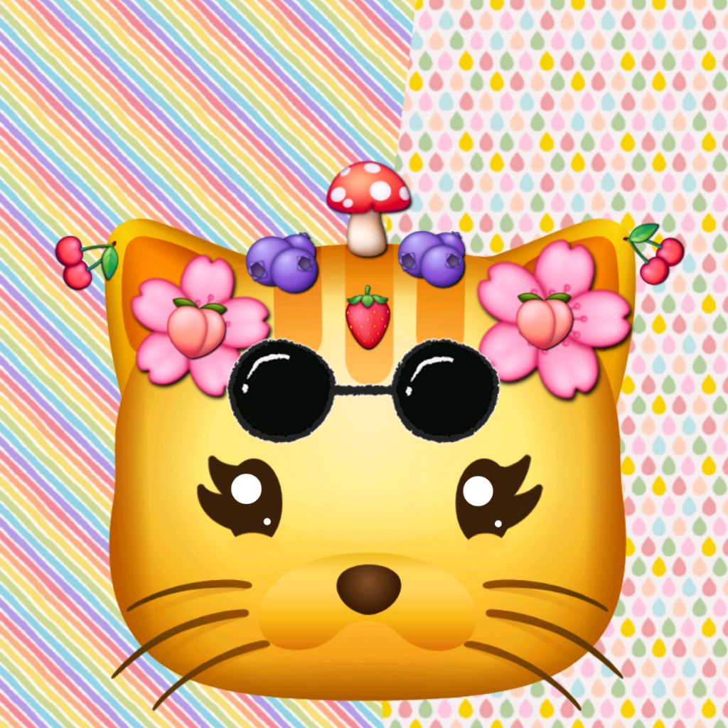 Иконка канала ✨️Chill Cat✨️