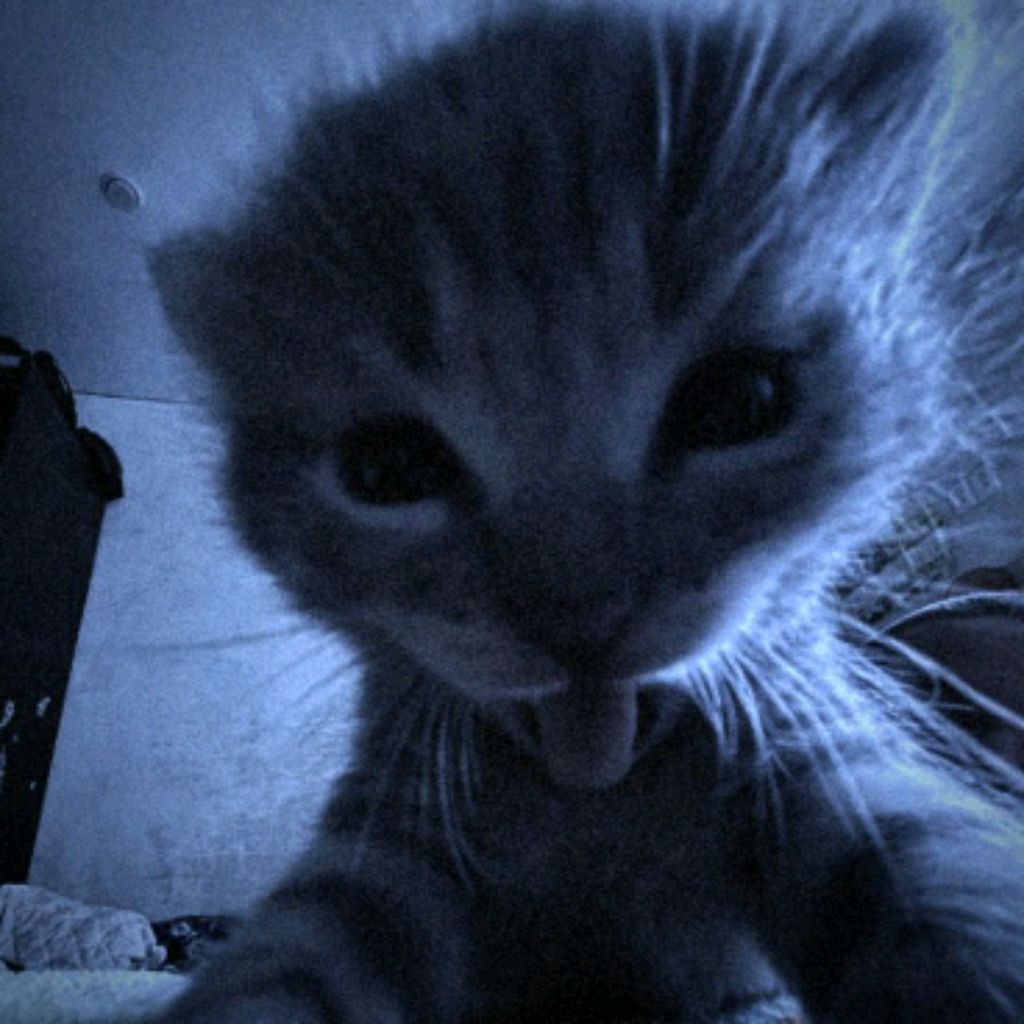 Иконка канала Polka/Poli