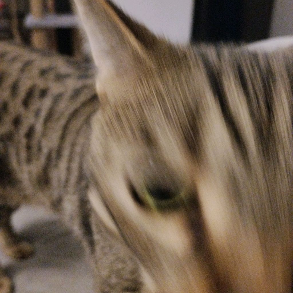 Иконка канала Рус Марс Тар