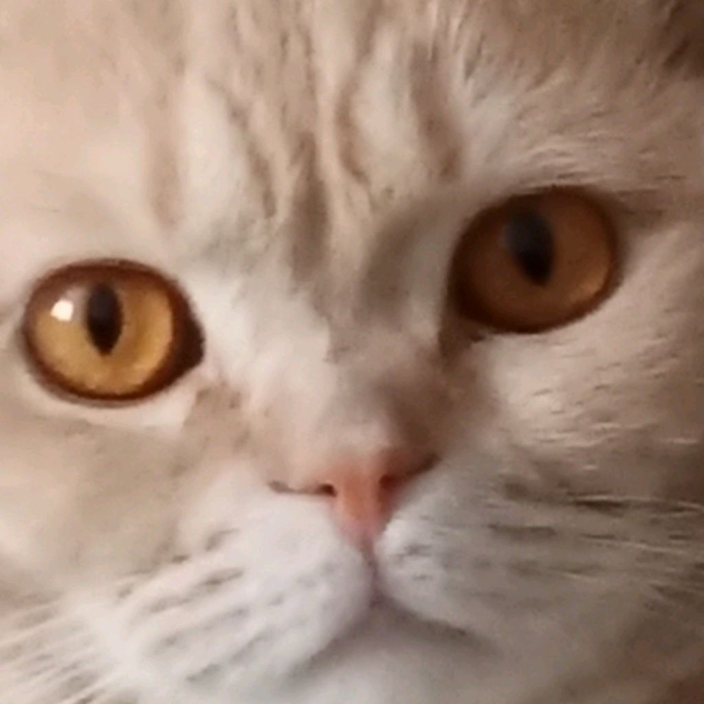 Иконка канала SIMBA CS-GO