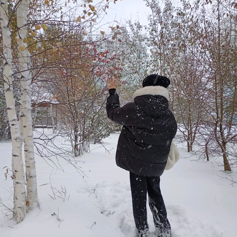 Иконка канала Viki.Xxs