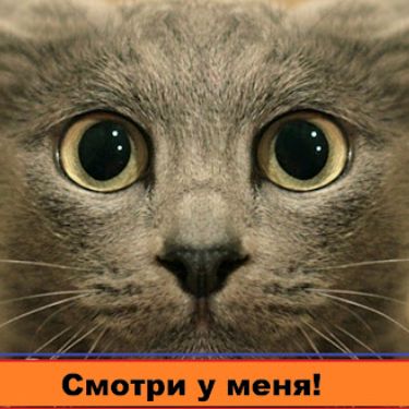 Иконка канала Смотри у меня!