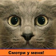 Иконка канала Смотри у меня!