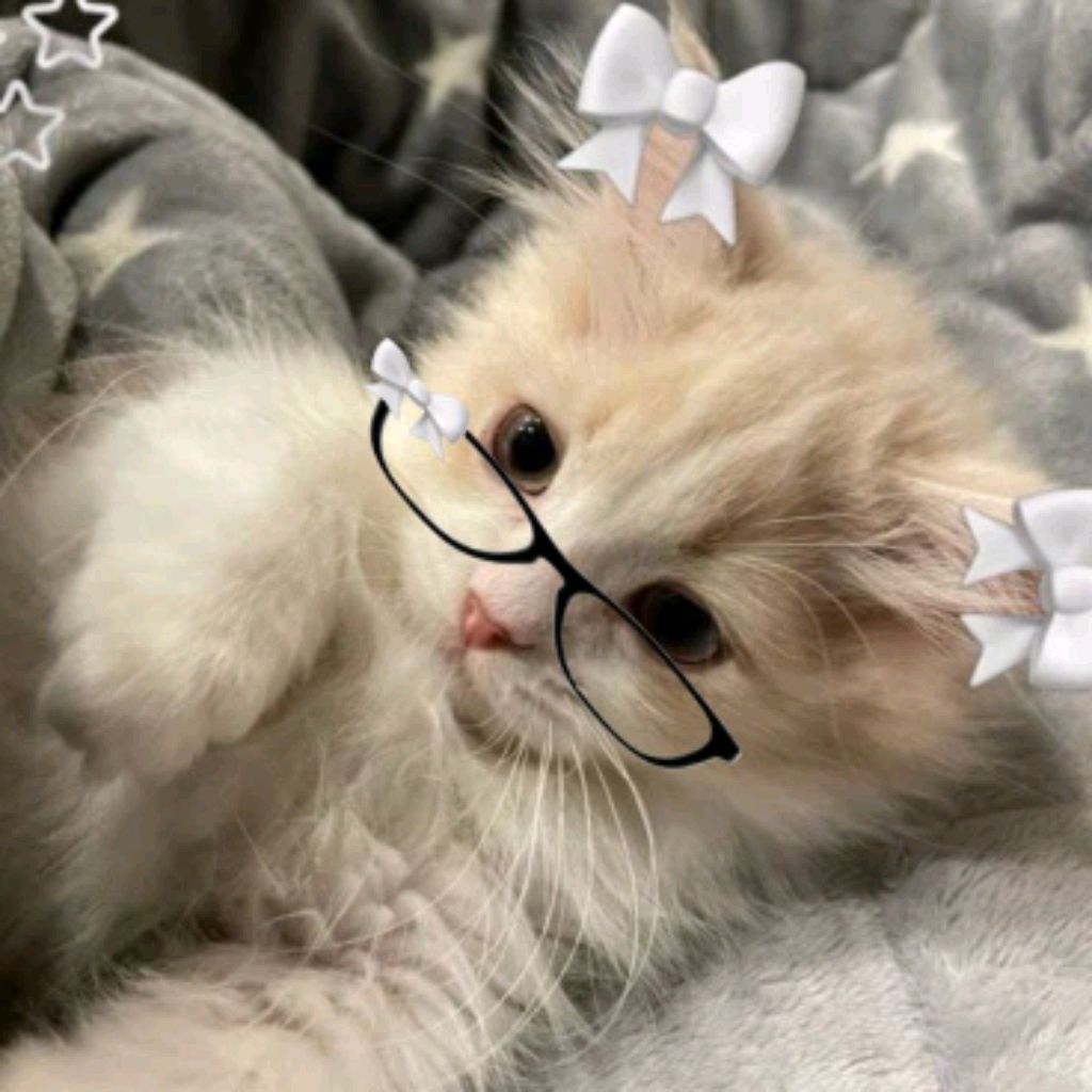 Иконка канала ❄️Амелия❄️