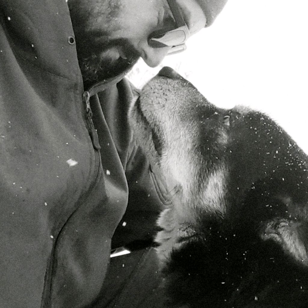 Иконка канала Не напряжное