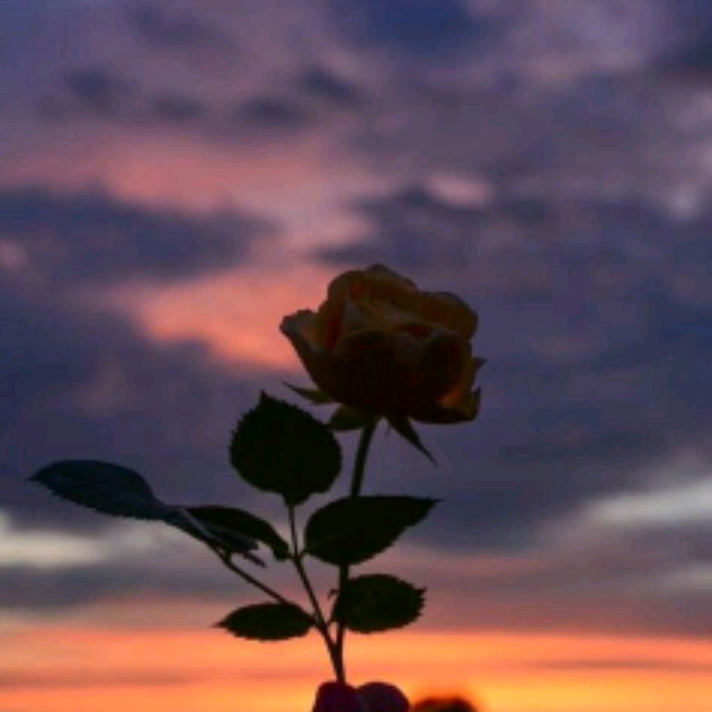 Иконка канала 🪲я Девочка Вера