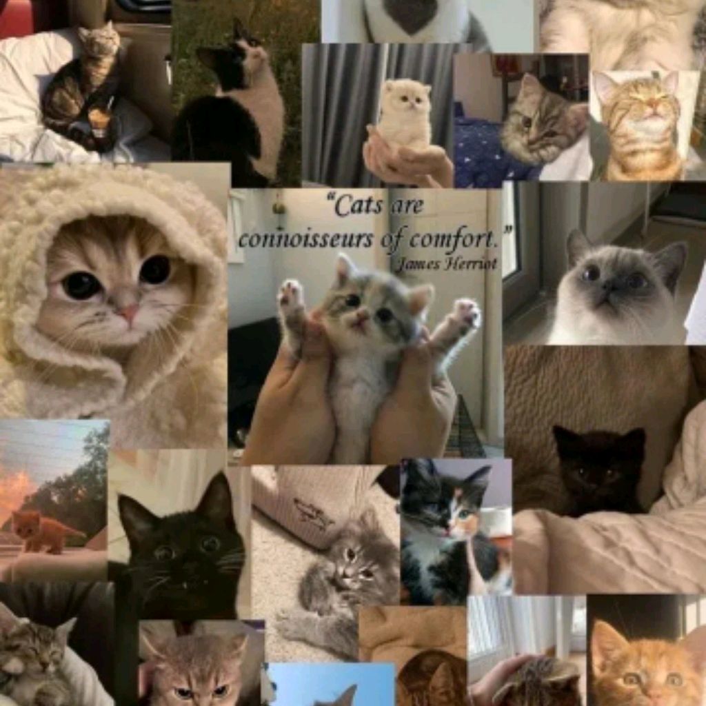 Иконка канала ✨🫧Masha Кокосик🥥✨