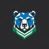 Иконка канала Bear38