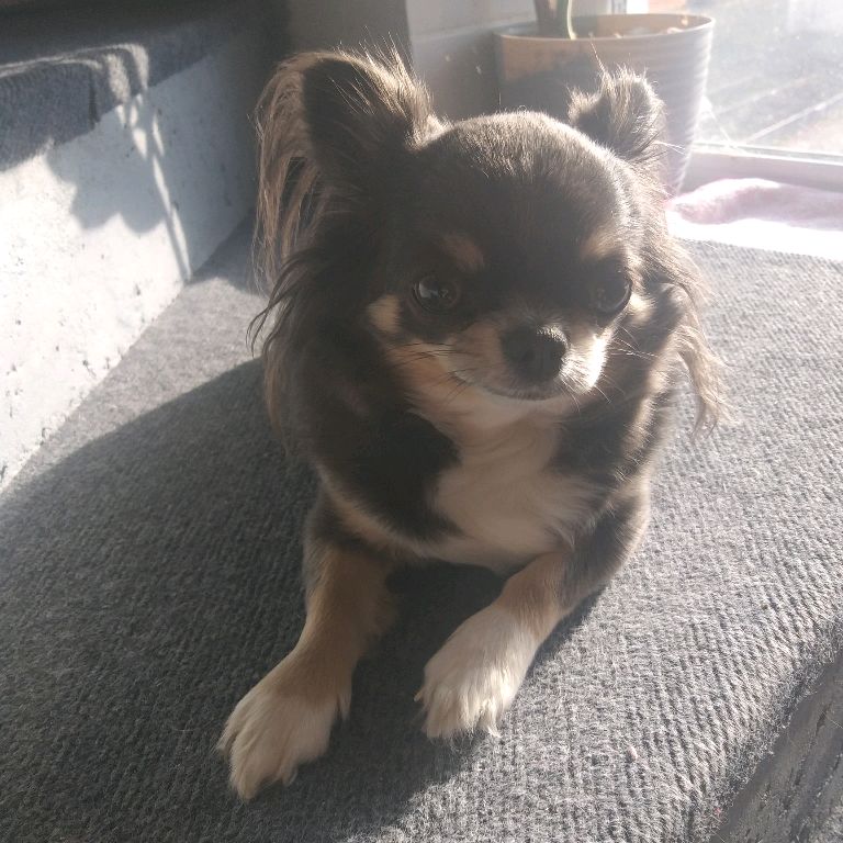 Иконка канала лиза банан🍌