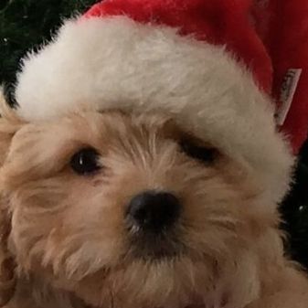 Иконка канала 𝙼𝚒𝚜𝚜_𝙴𝚟𝚊