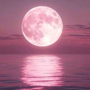 Иконка канала радише