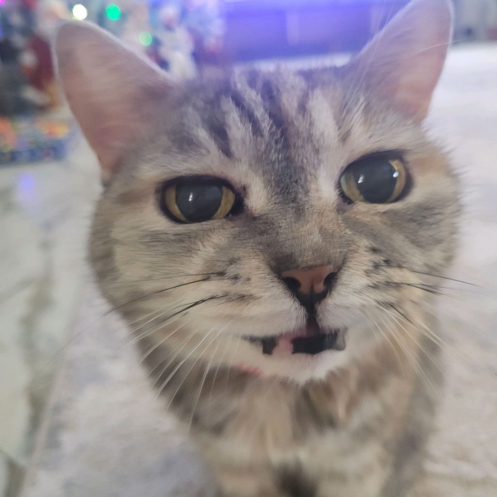 Иконка канала Маша