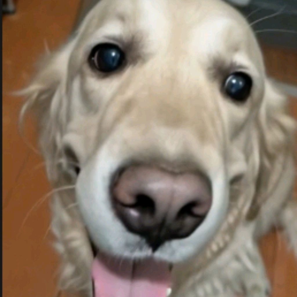 Иконка канала Джуди√