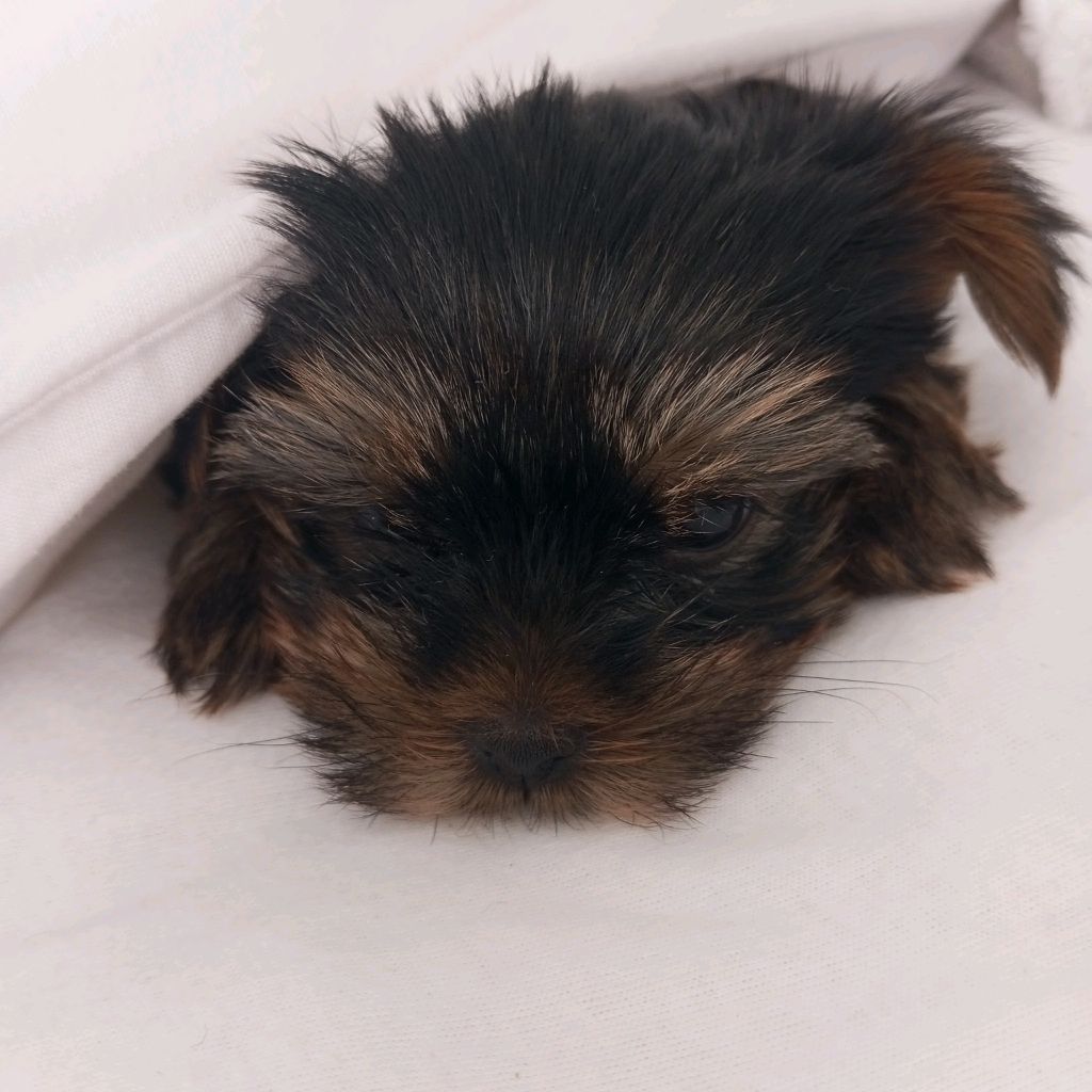 Иконка канала Milashka