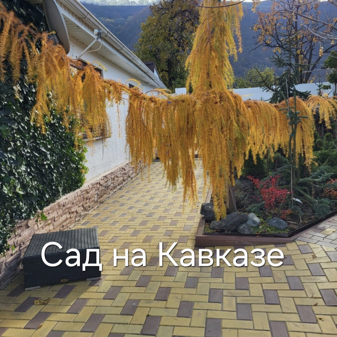 Иконка канала channel46879597