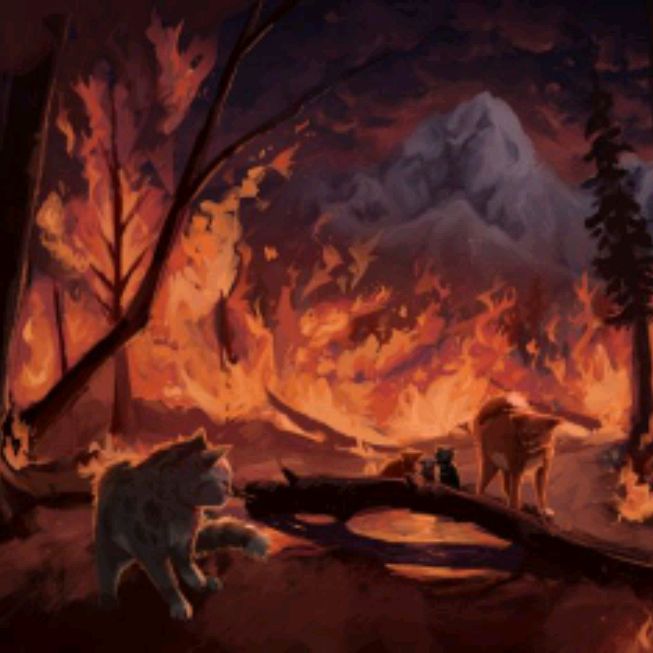 Иконка канала 🌿🪲“«Warrior Cats»”🪲🌿