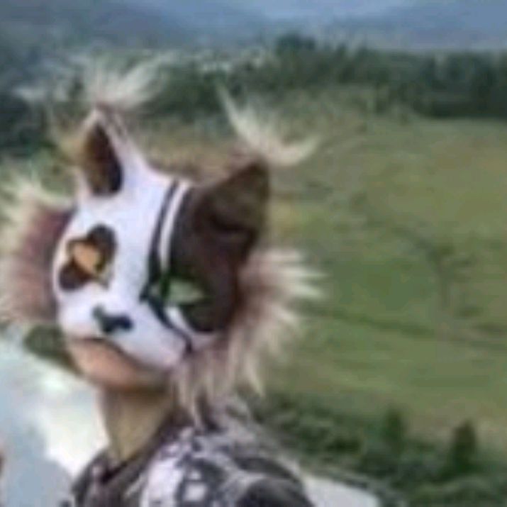 Иконка канала |•Лапа Надежды•| •√Квд