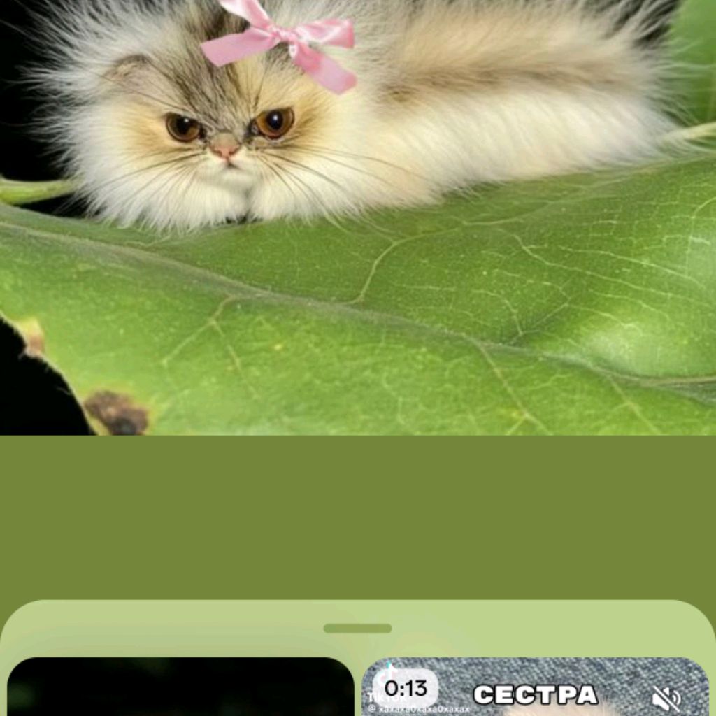 Иконка канала channel60915840