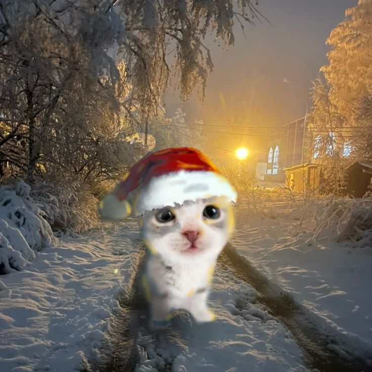 Иконка канала Вова Стример-_-🎄