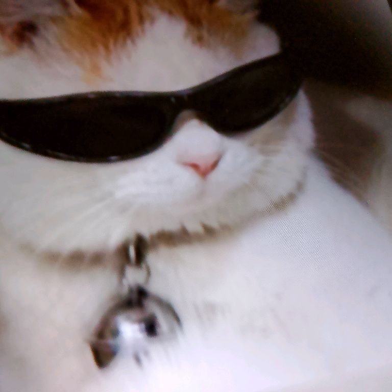 Иконка канала MAКС