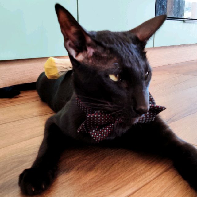 Иконка канала ПРоХоДиМкУС