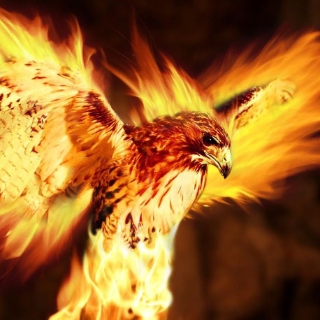 Иконка канала 🔥Felix🔥