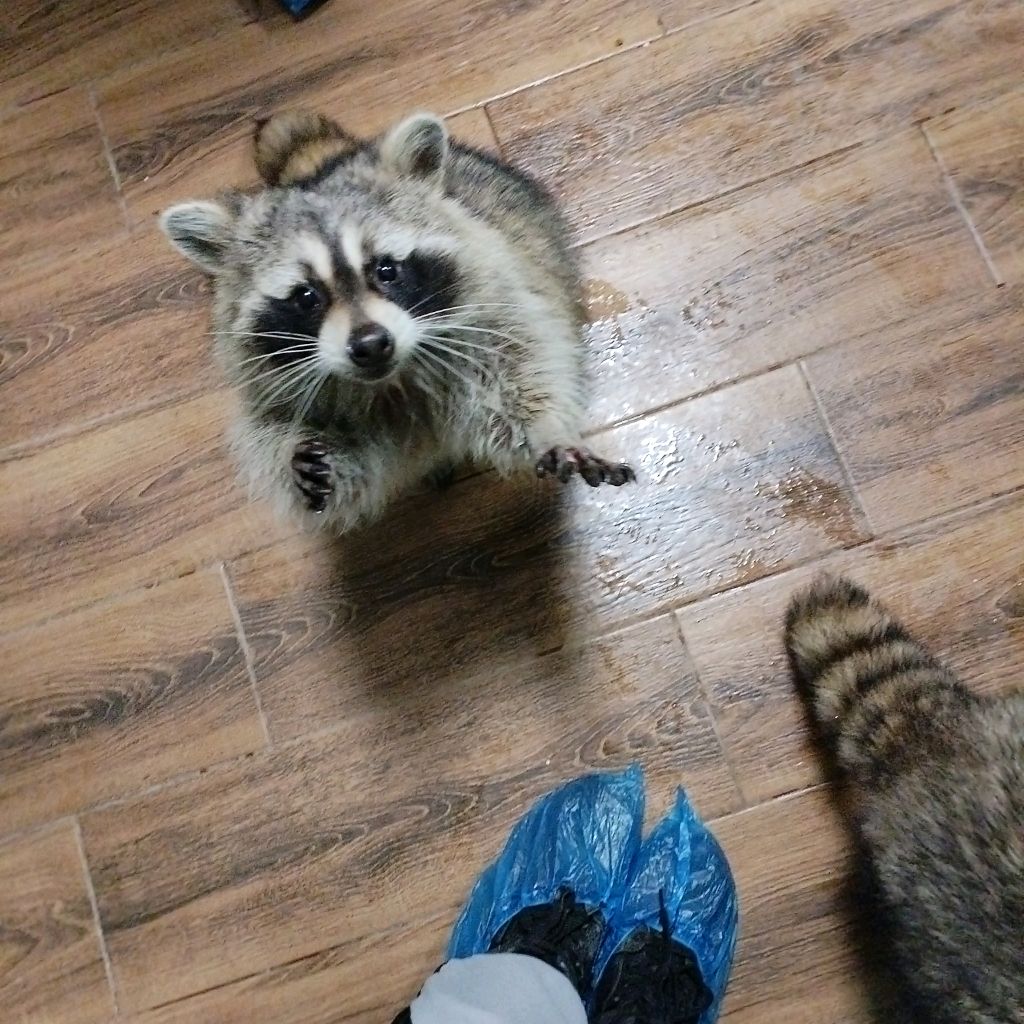 Иконка канала Егор Амоооогус