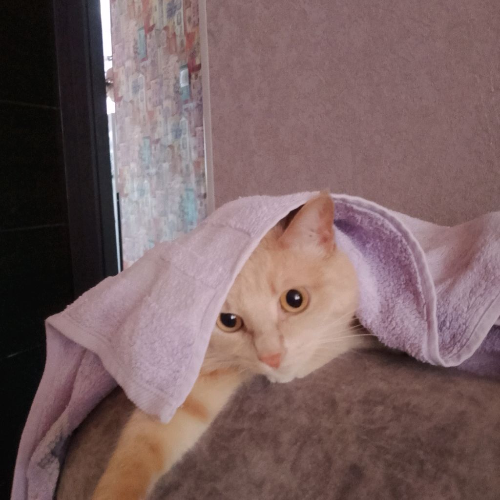 Иконка канала Белый пингвин С Одбитым Характиром