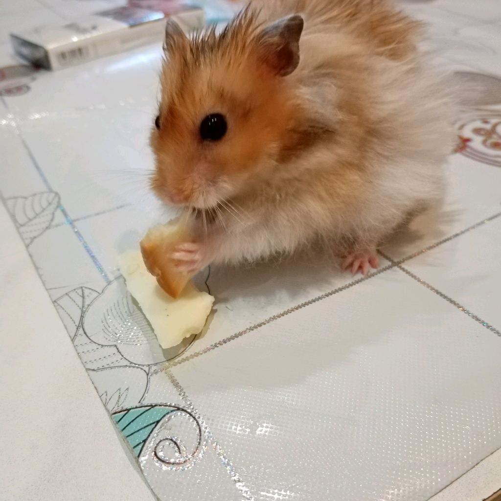 Иконка канала РОССИЯ 57 МАРК