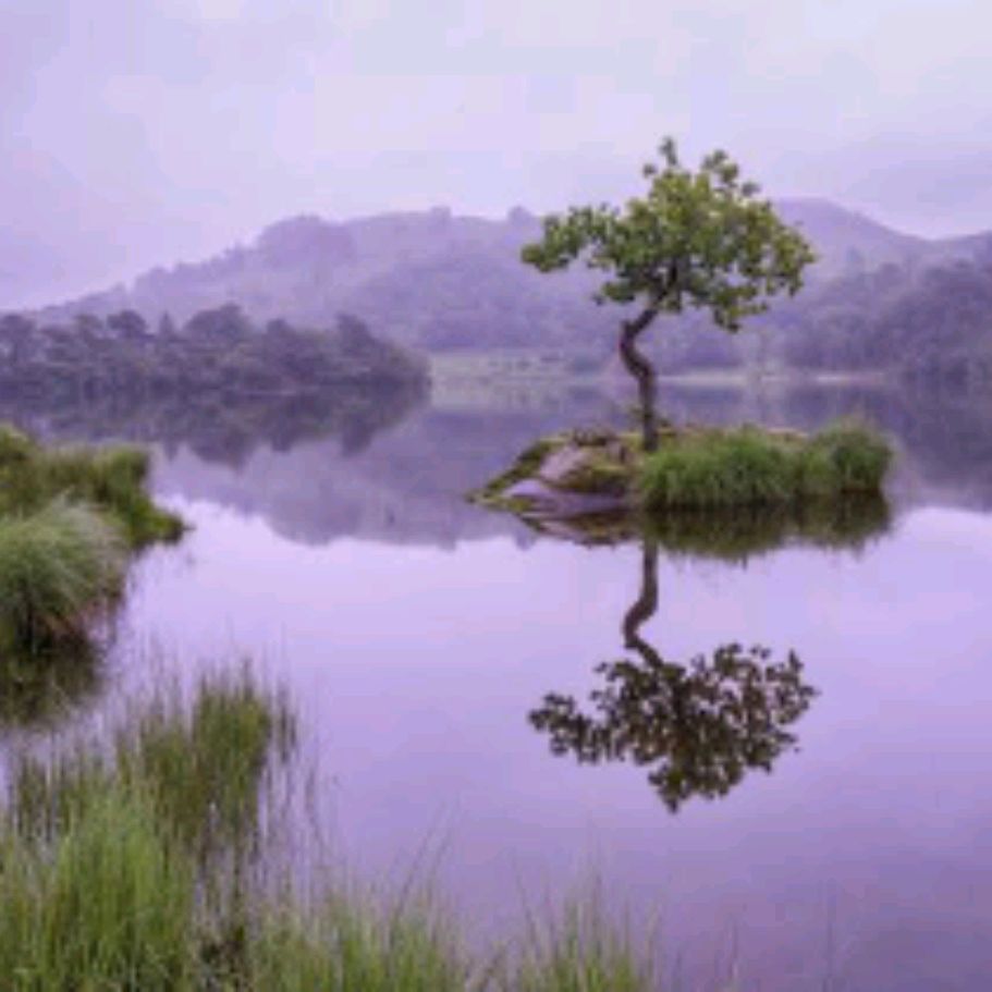 Иконка канала channel70658204