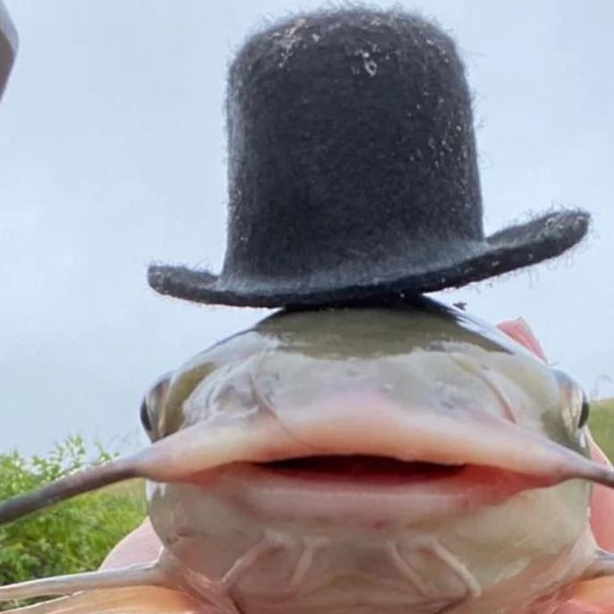 Иконка канала Mr apple