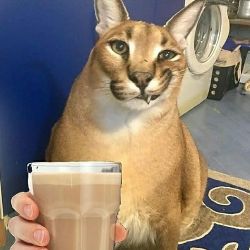 Иконка канала Pricoldych