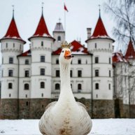 Иконка канала Царь Гусь