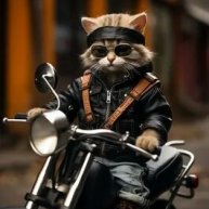 Иконка канала DAYKLIN ✅