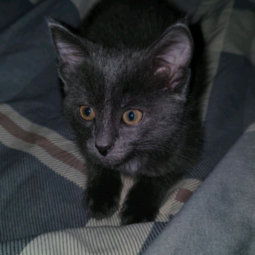 Иконка канала БУСЯ ❤https://t.me/Tarik_Entony