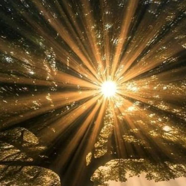 Иконка канала Зеркало души