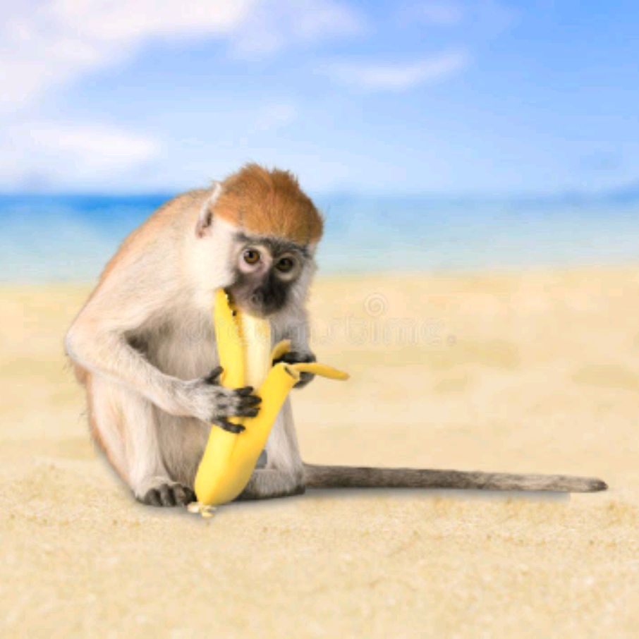 Иконка канала Бананус